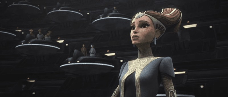 Padmé Amidala and the Handmaidens Companion Guide